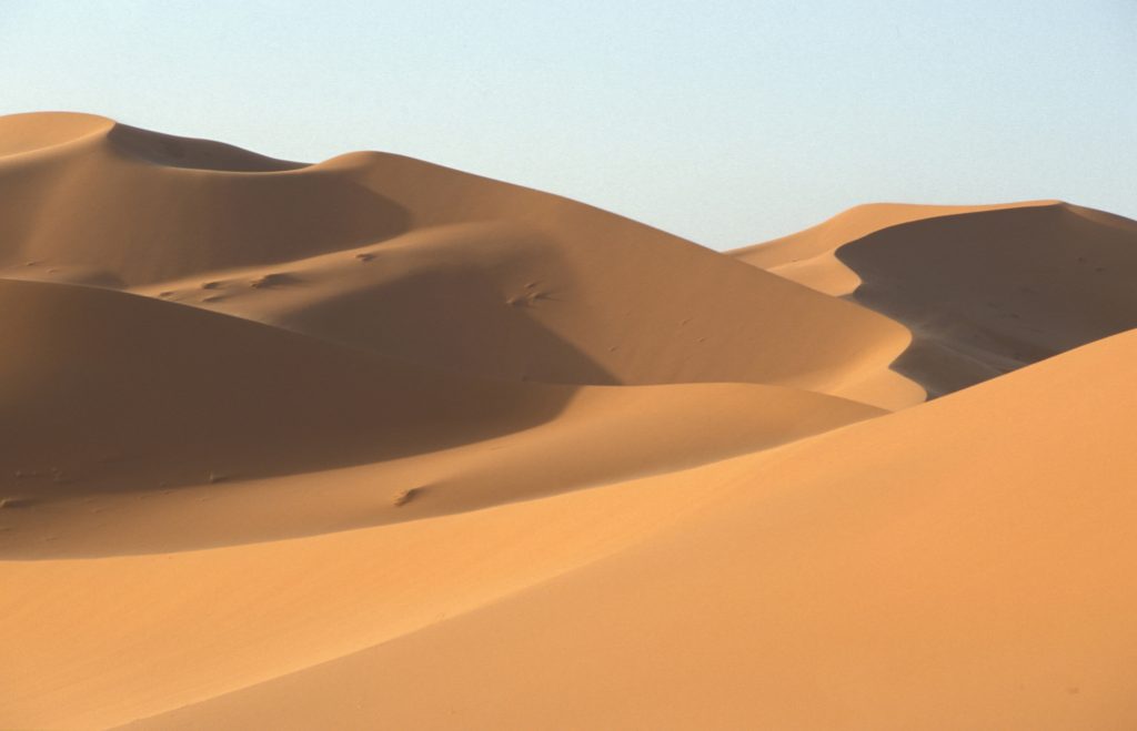 Sand - Mark McEachran